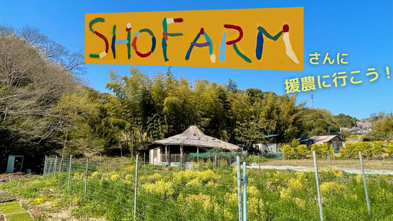 SHO Farm さんに援農に行こう！ ~ 湘南ひとまち
