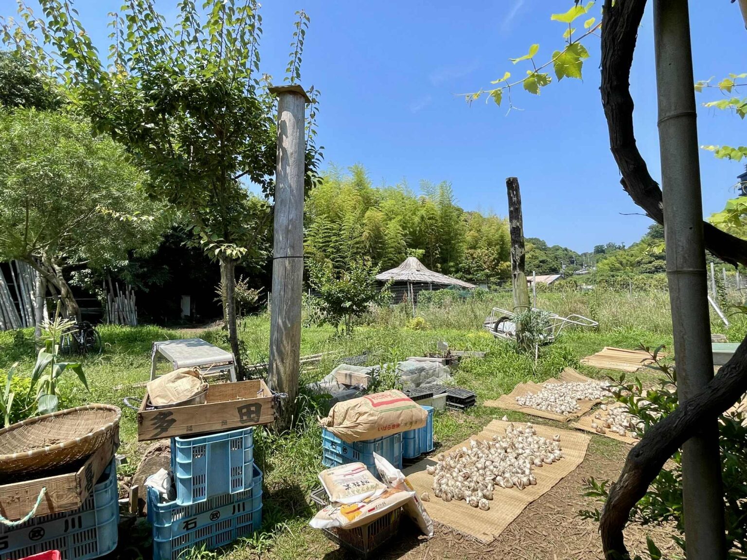 SHO Farm さんに援農に行こう！ ~ 湘南ひとまち